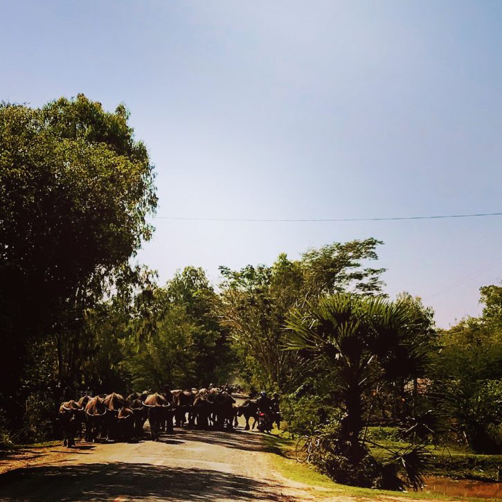 シンガポール旅行中はTCP Parkの駐車場にバイクを停めてましたが果たして駐車料金はいかほどに。 | MAGAPABLOG